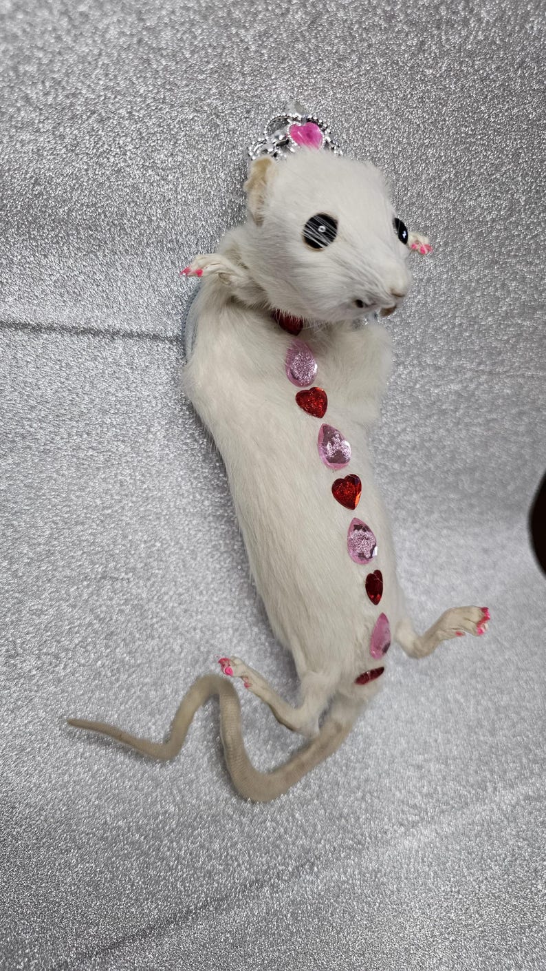 Penny Lafur Taxidermy Rat Coin Purse Campy Gothic Glittercore Pouch ...