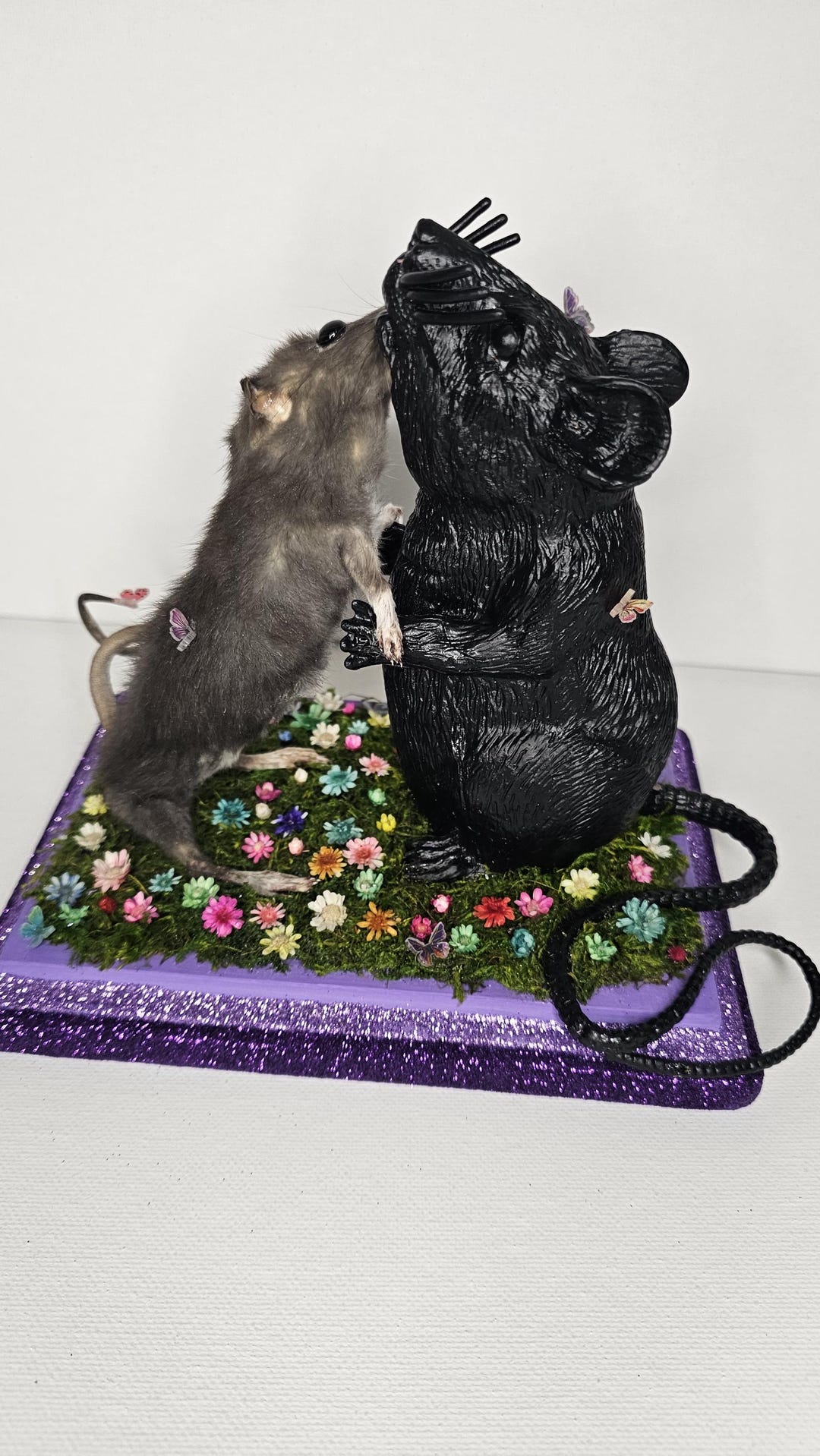 Love at First Squeak Creepy Cute Art Real Rat Oddities Curiosities ...