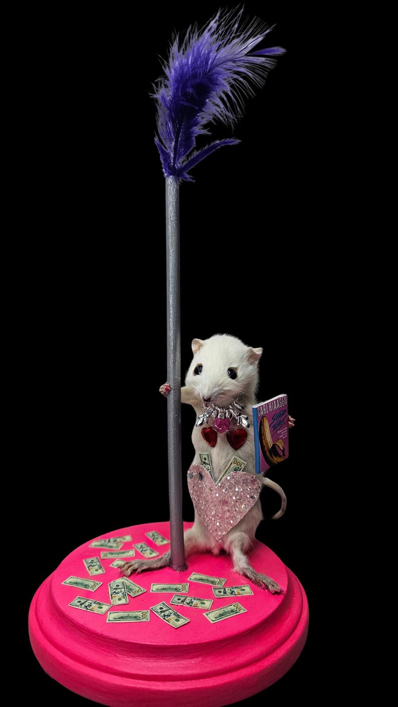 Striptease Taxidermy Mouse Pole Dancing Mouse. Exotic Dancer Oddity ...