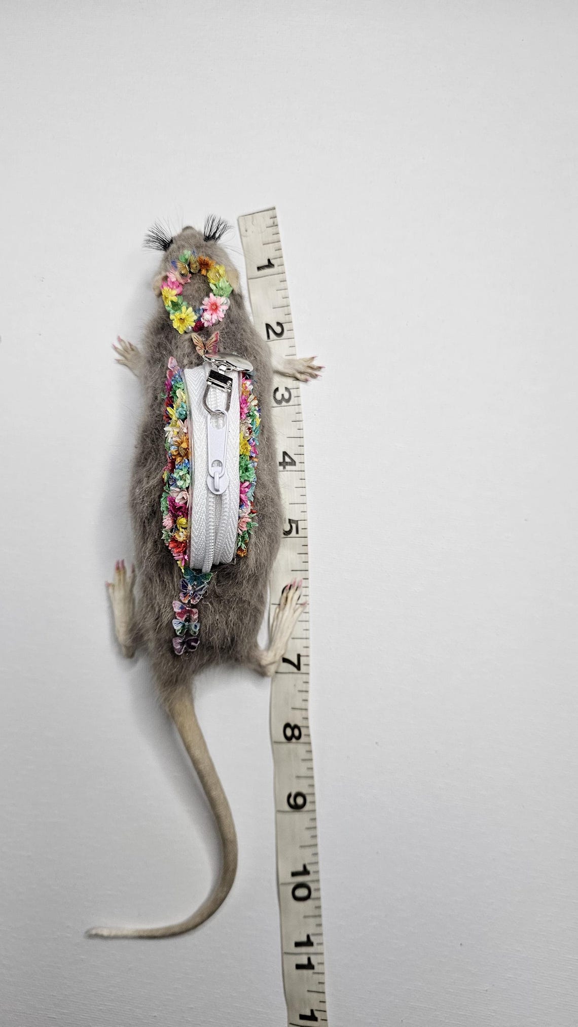 READY2SHIP Rat Purse Flora the Field Rat Taxidermy/ Flower Garden Coin ...