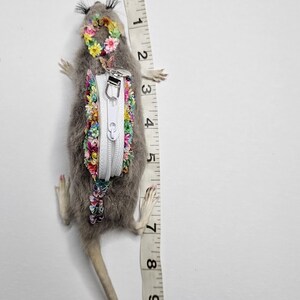 READY2SHIP Rat Purse Flora the Field Rat Taxidermy/ Flower Garden Coin ...