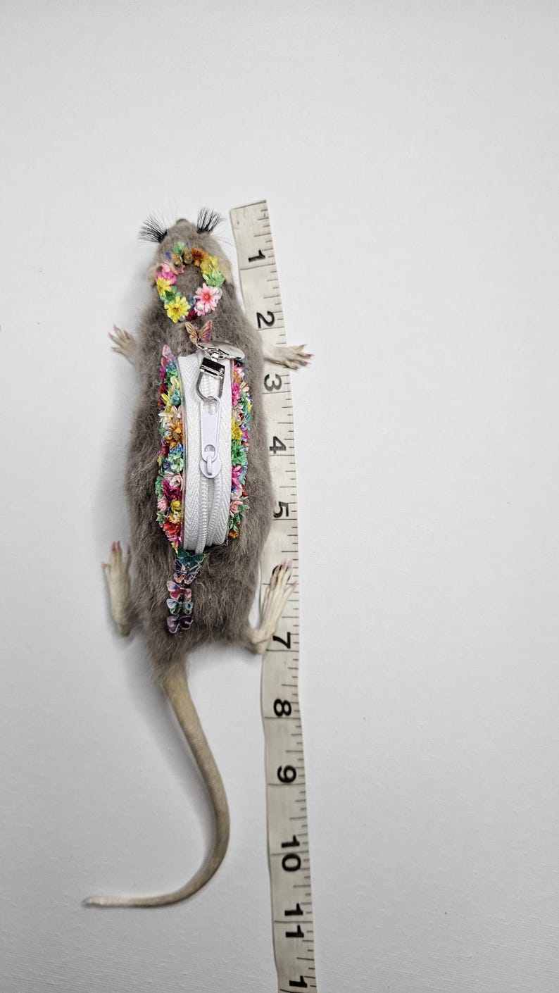 READY2SHIP Rat Purse Flora the Field Rat Taxidermy/ Flower Garden Coin ...
