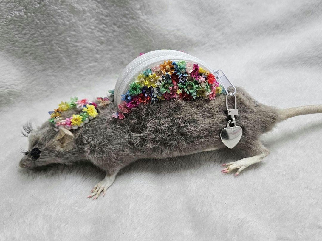 READY2SHIP Rat Purse Flora the Field Rat Taxidermy/ Flower Garden Coin ...