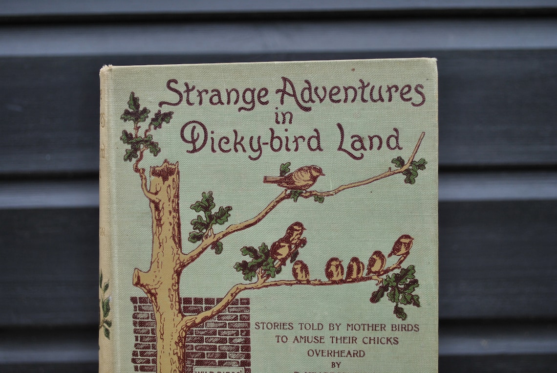 Antique 1902 book Strange Adventures in Dicky-Bird Land by R. | Etsy