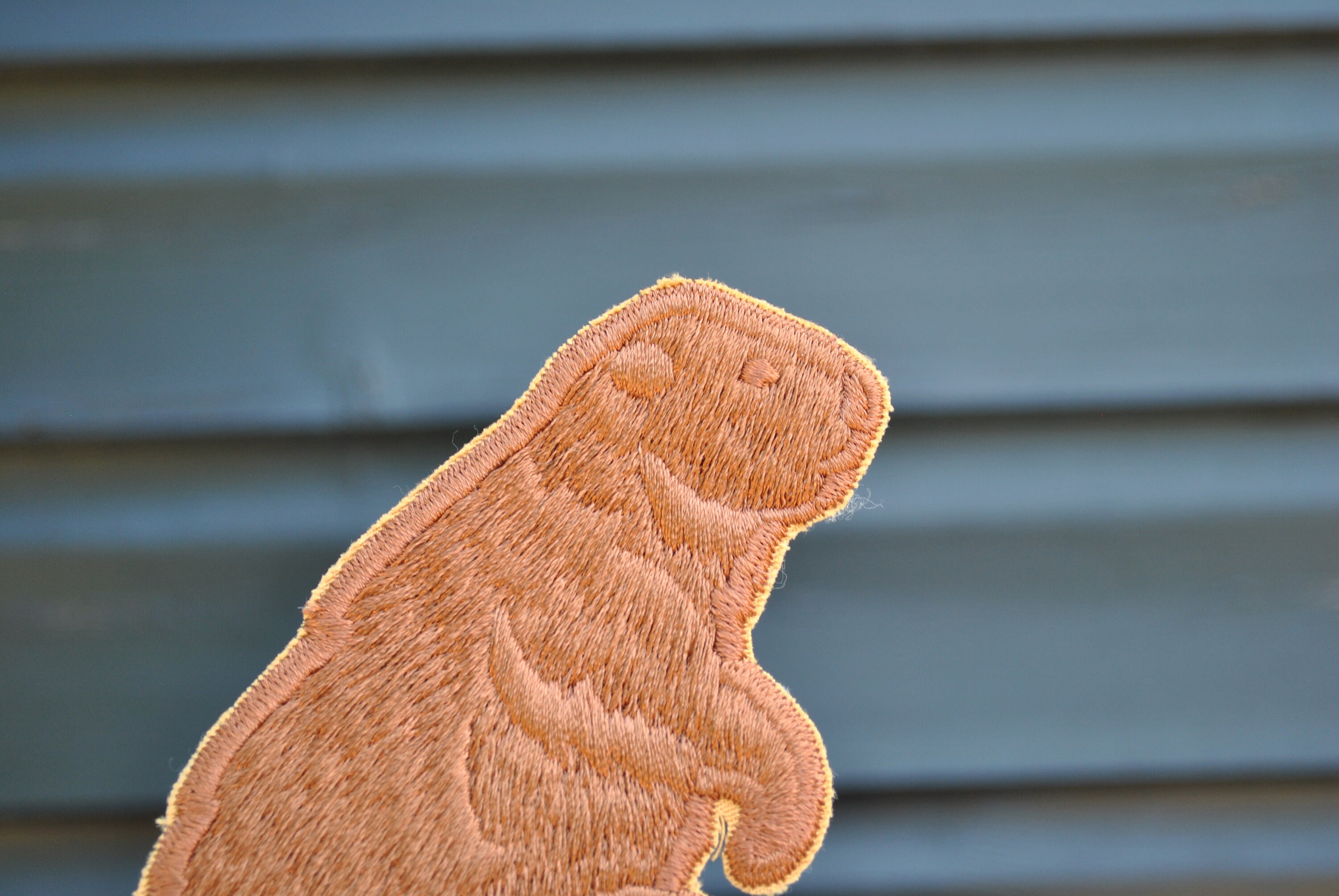 Vintage Beaver Embroidered Badge Scouting Canada Craft - Etsy Australia