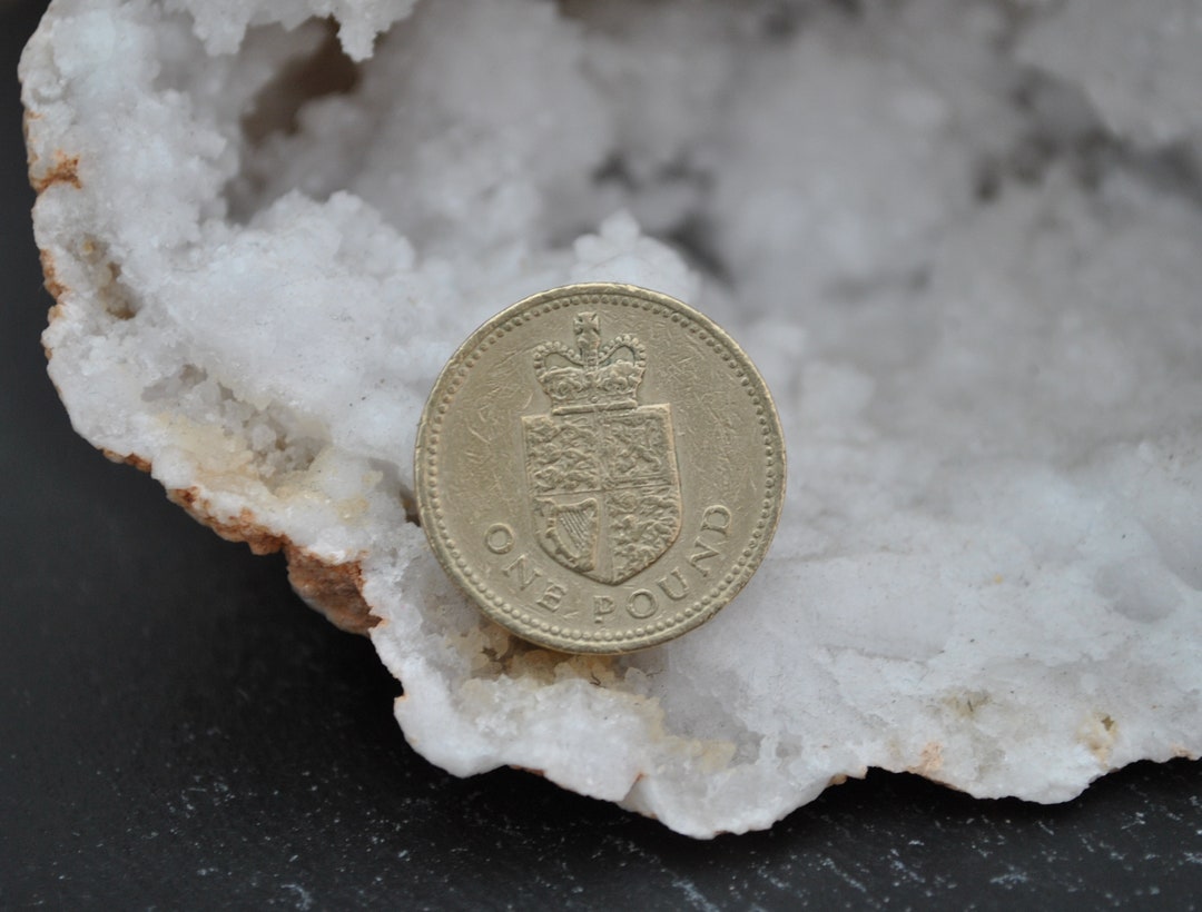 Vintage One Pound Coin - 1988 - Shield of the Royal Arms - One Year ...