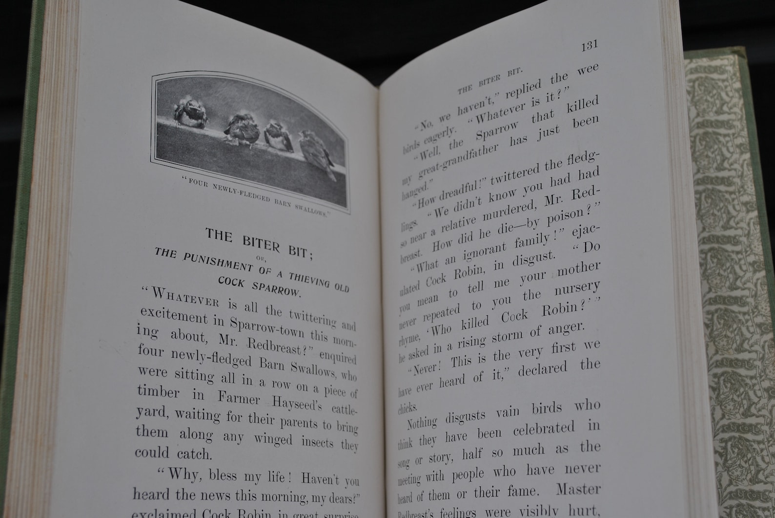 Antique 1902 book Strange Adventures in Dicky-Bird Land by R. | Etsy
