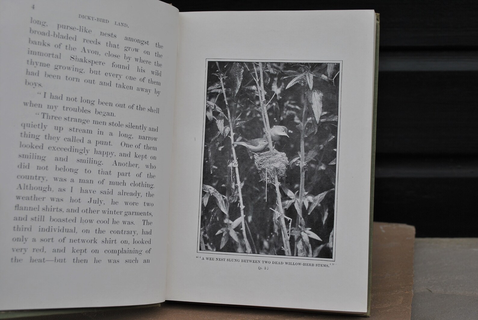 Antique 1902 book Strange Adventures in Dicky-Bird Land by R. | Etsy