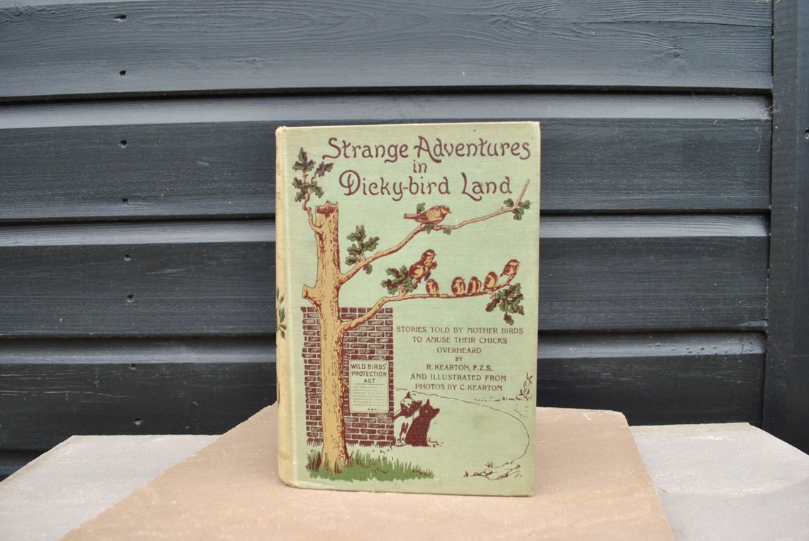 Antique 1902 book Strange Adventures in Dicky-Bird Land by R. | Etsy