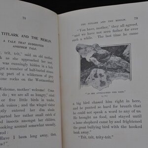Antique 1902 book Strange Adventures in Dicky-Bird Land by R. | Etsy