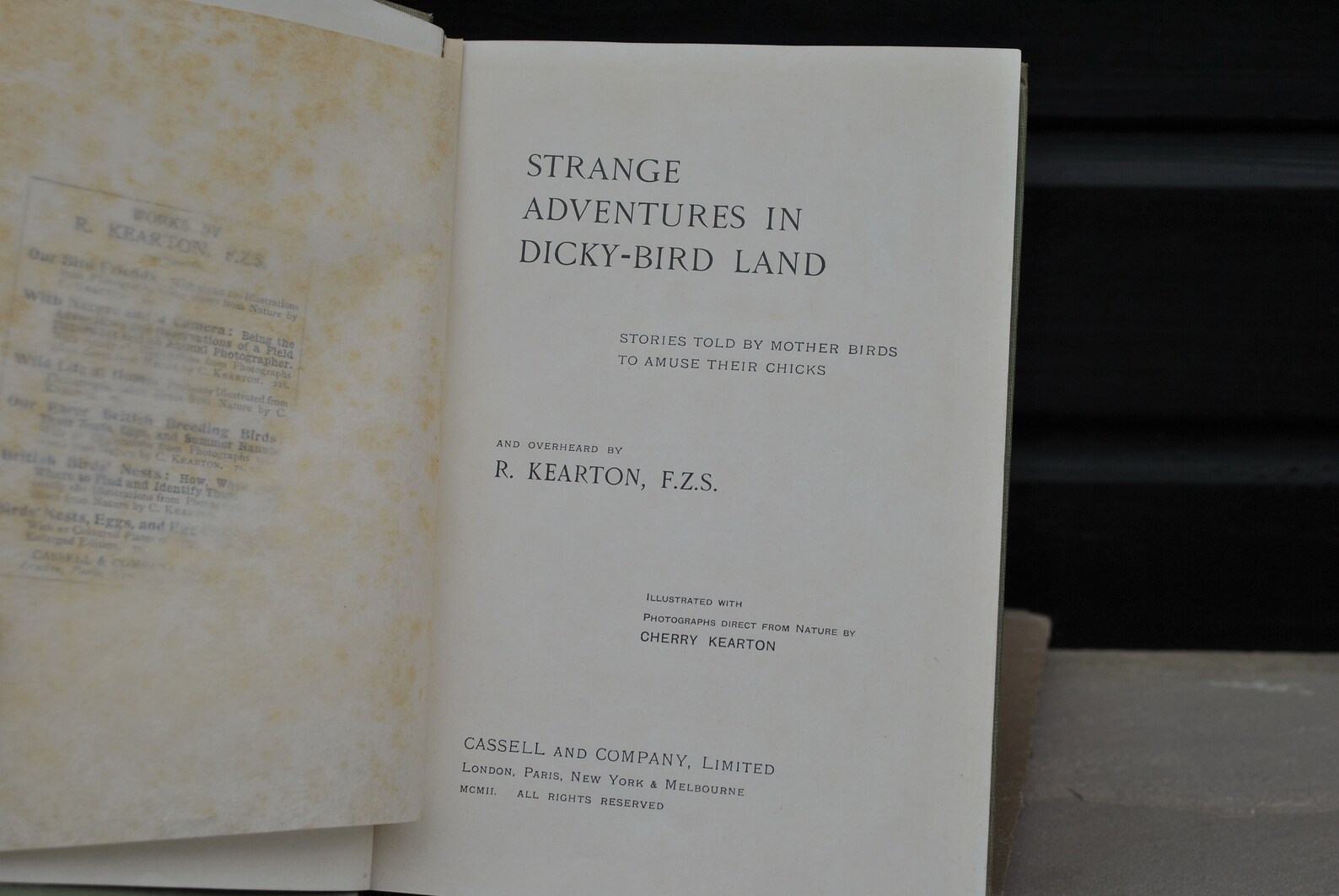 Antique 1902 book Strange Adventures in Dicky-Bird Land by R. | Etsy