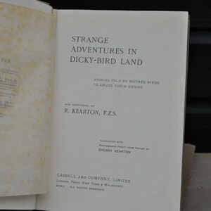 Antique 1902 book Strange Adventures in Dicky-Bird Land by R. | Etsy