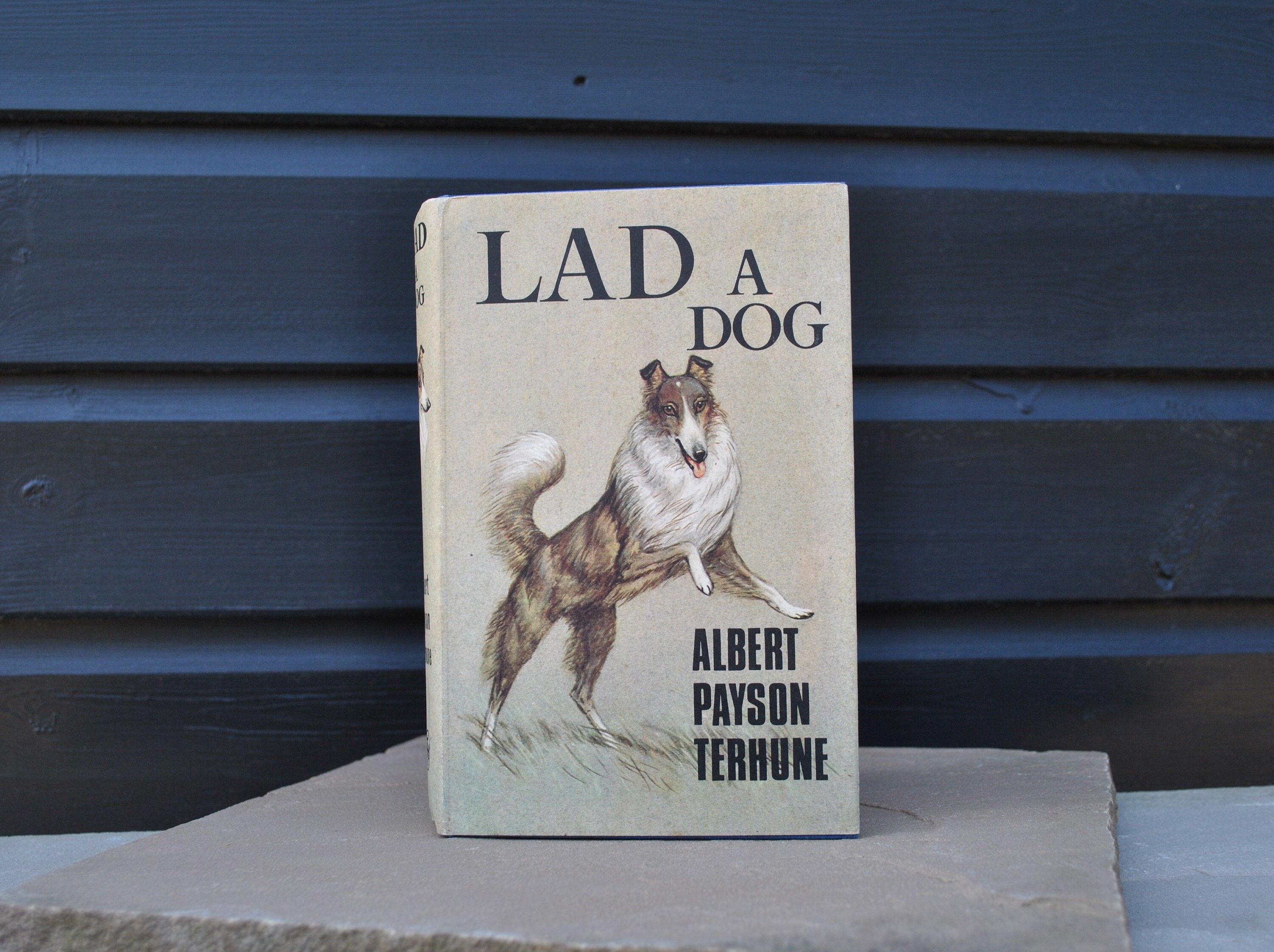 Lad a Dog by Albert Payson Terhune Hardback Book 1966 - Etsy UK