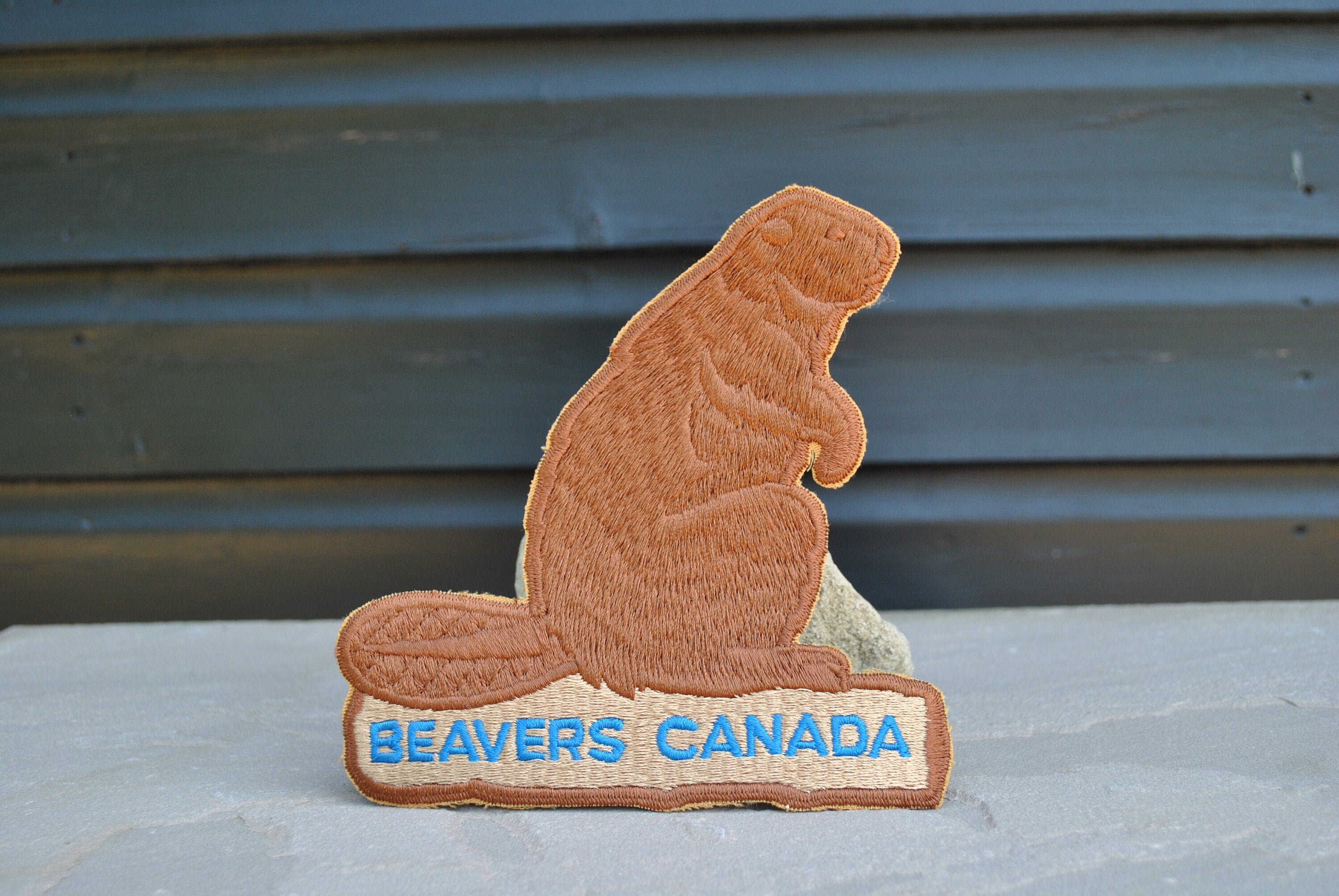 Vintage Beaver Embroidered Badge Scouting Canada Craft - Etsy Australia