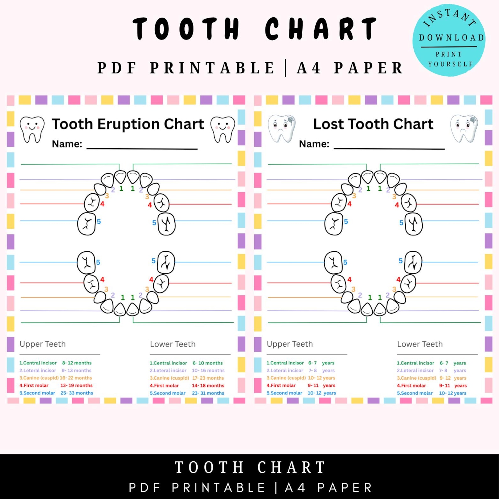 Printable Tooth Eruption and Lost Tooth Chart • Baby Tooth Tracker ...