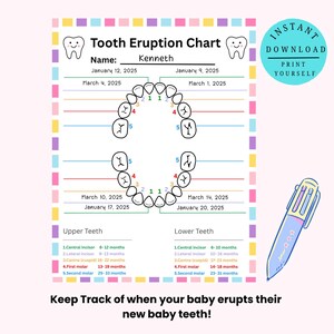 Printable Tooth Eruption and Lost Tooth Chart • Baby Tooth Tracker ...