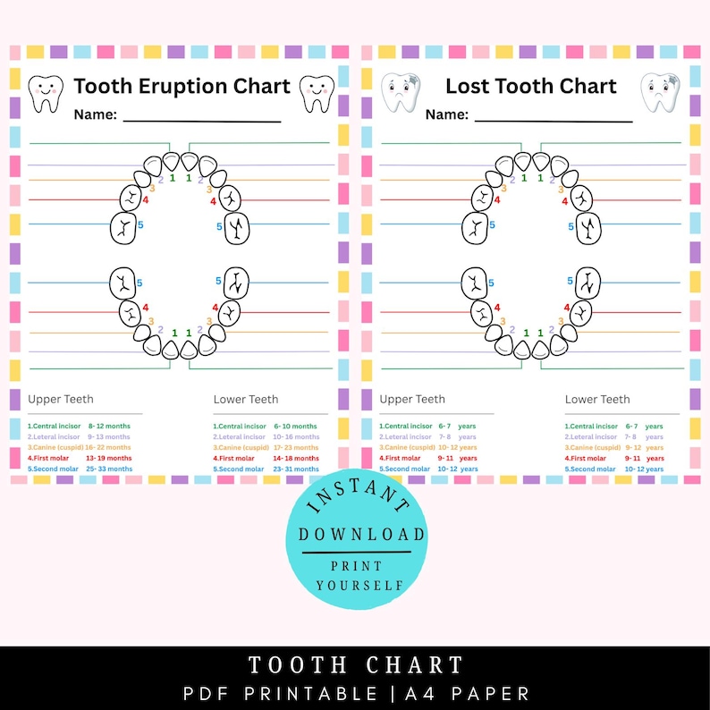 Printable Tooth Eruption and Lost Tooth Chart • Baby Tooth Tracker ...