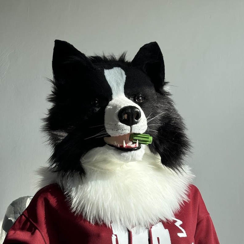 Border Collie Movable Jaw Realistic Fursuit Head Dog Cosplay Mask ...