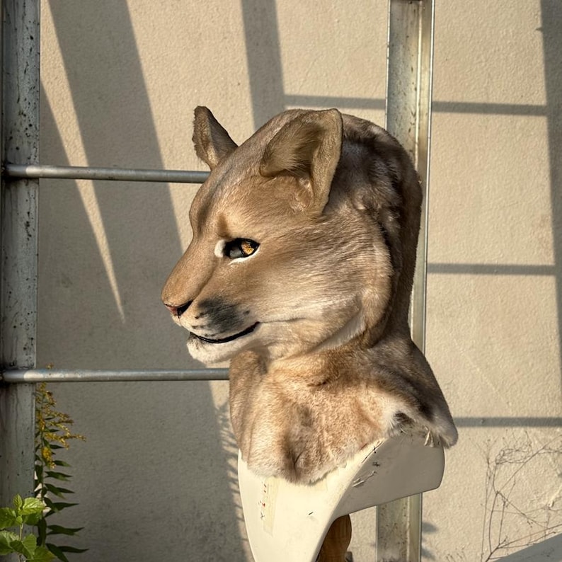 Movable Jaw Mountain Lion Puma Head Realistic Fursuit Headpiece Furry ...