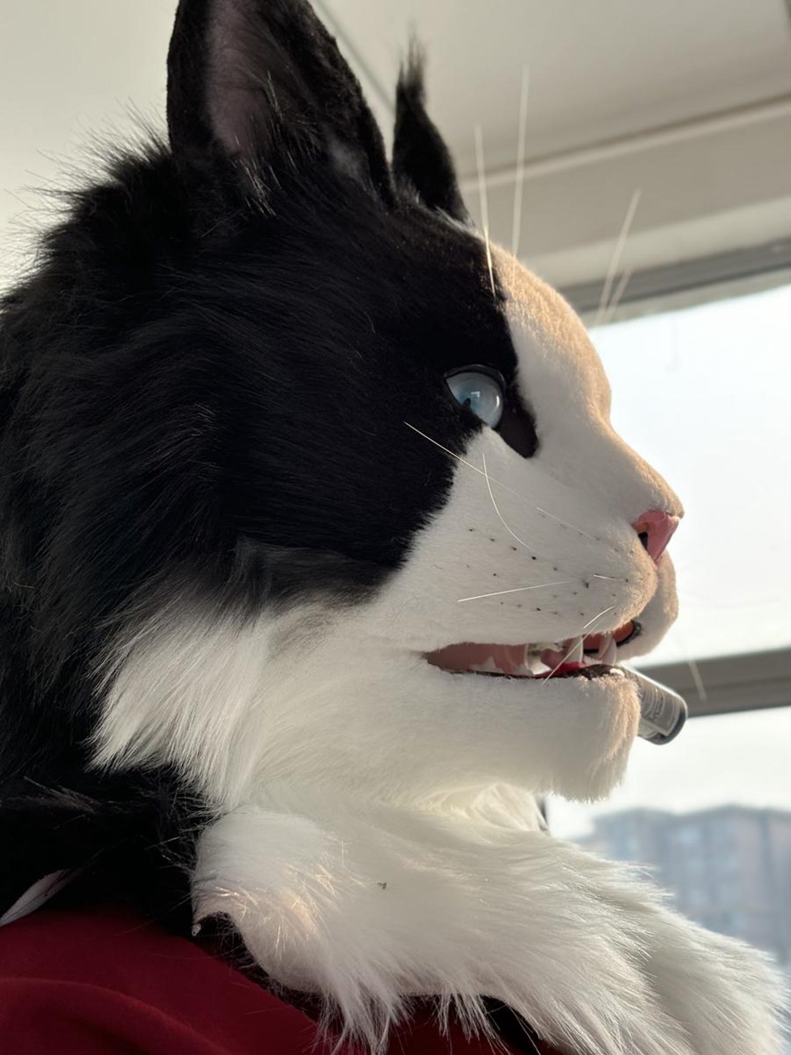 Maine Coon Movable Jaw Realistic Cat Fursuit Head Cosplay Headpiece ...
