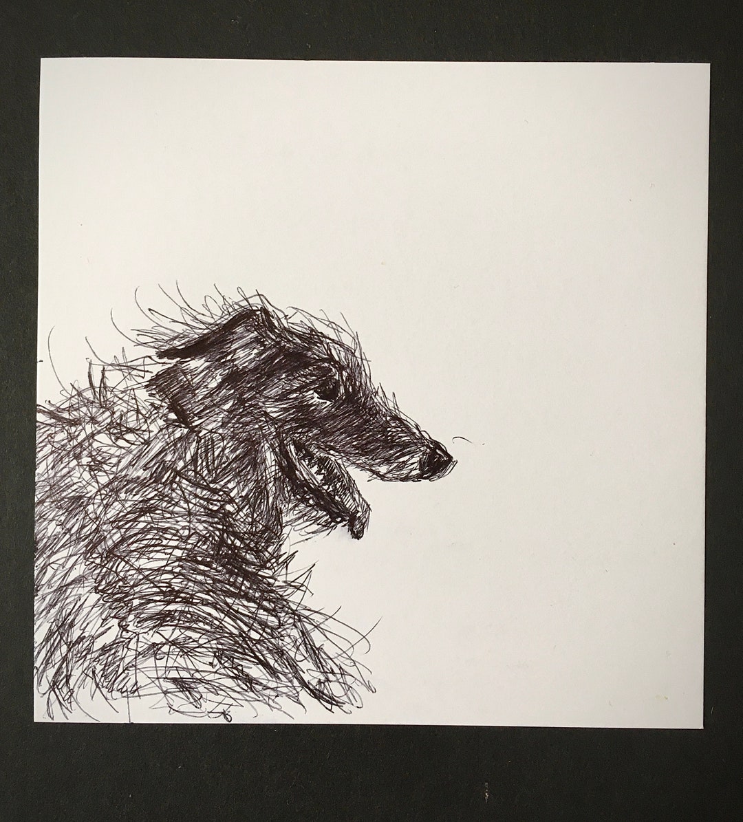 Lurcher Dog Sketch, Black Ink on White Card - Etsy