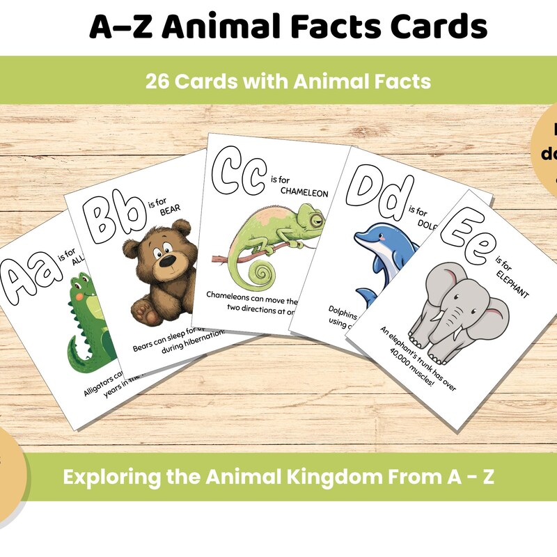 Animal Flash Cards - Etsy