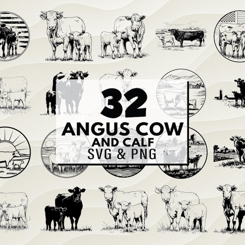 Black Angus Cow Decal - Etsy