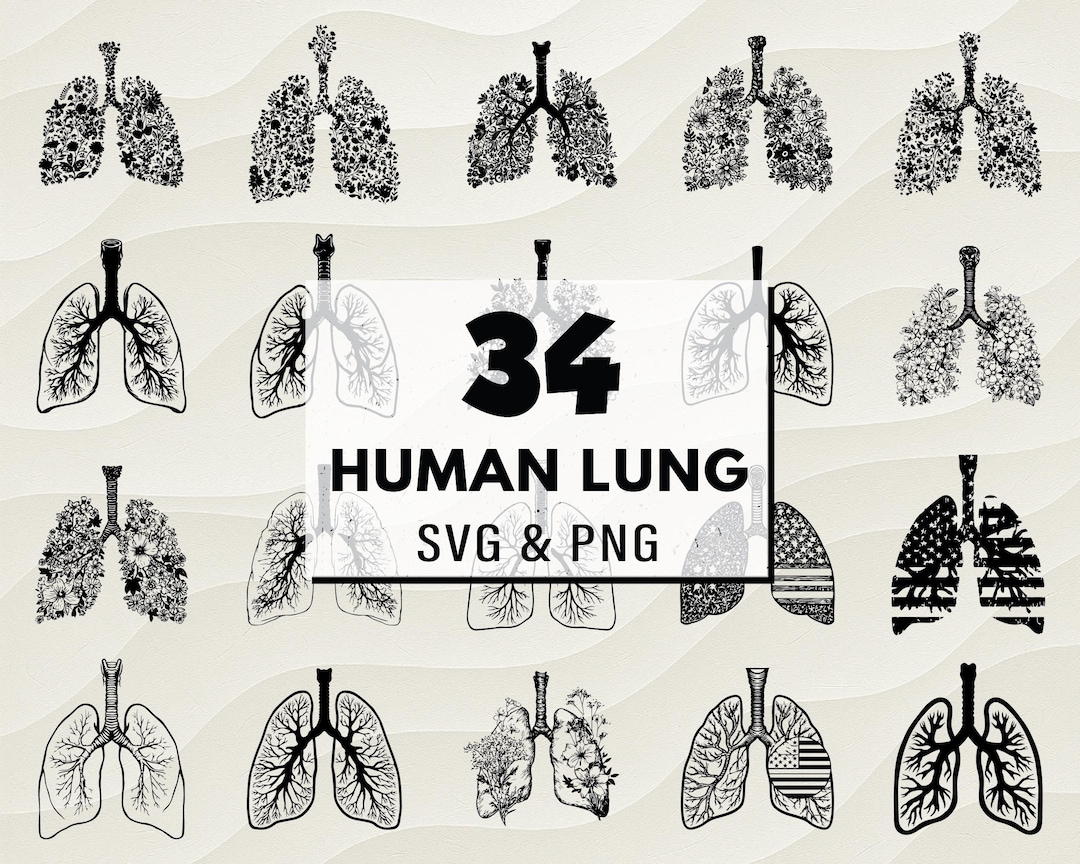 Human Lung Anatomy SVG PNG Bundle, Medical Clipart (digital Design ...
