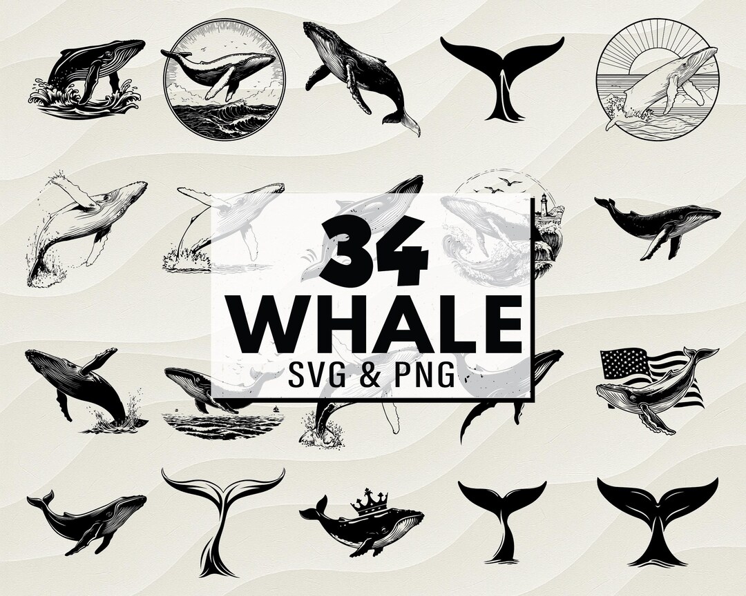 Wal SVG PNG Bundle, Ozean Tier Clipart, Meerestier Vektor (Digitales ...