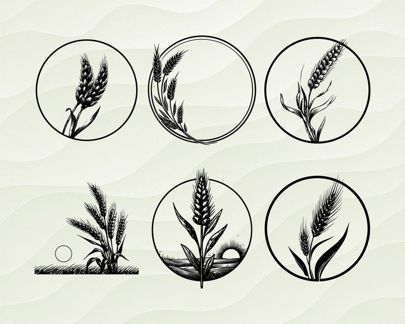 Wheat SVG PNG Clipart, Farm Plant Silhouettes, Cricut Cut Files ...