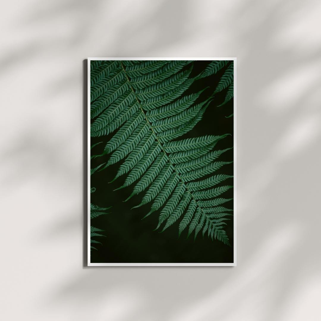Still Fern Symmetry | Fern Leaf Poster | Botanical Wall Art - Etsy