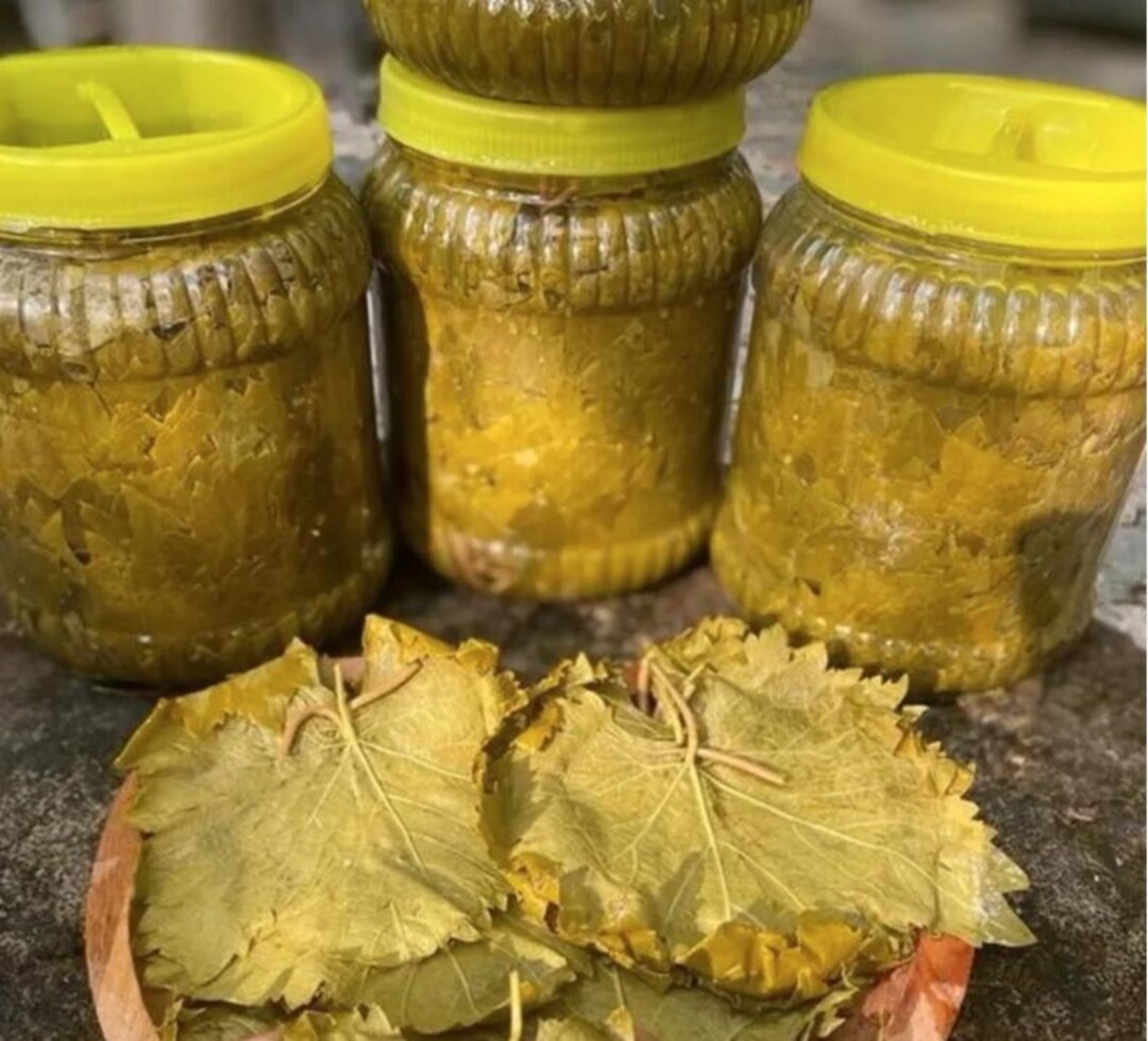 Handmade Stuffed Grape Leaves – Turkish Yaprak Sarma – Vegan Dolma ...