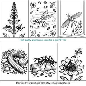 Creepy Crawlies and Cool Critters – Printable Insect & Bug Coloring ...