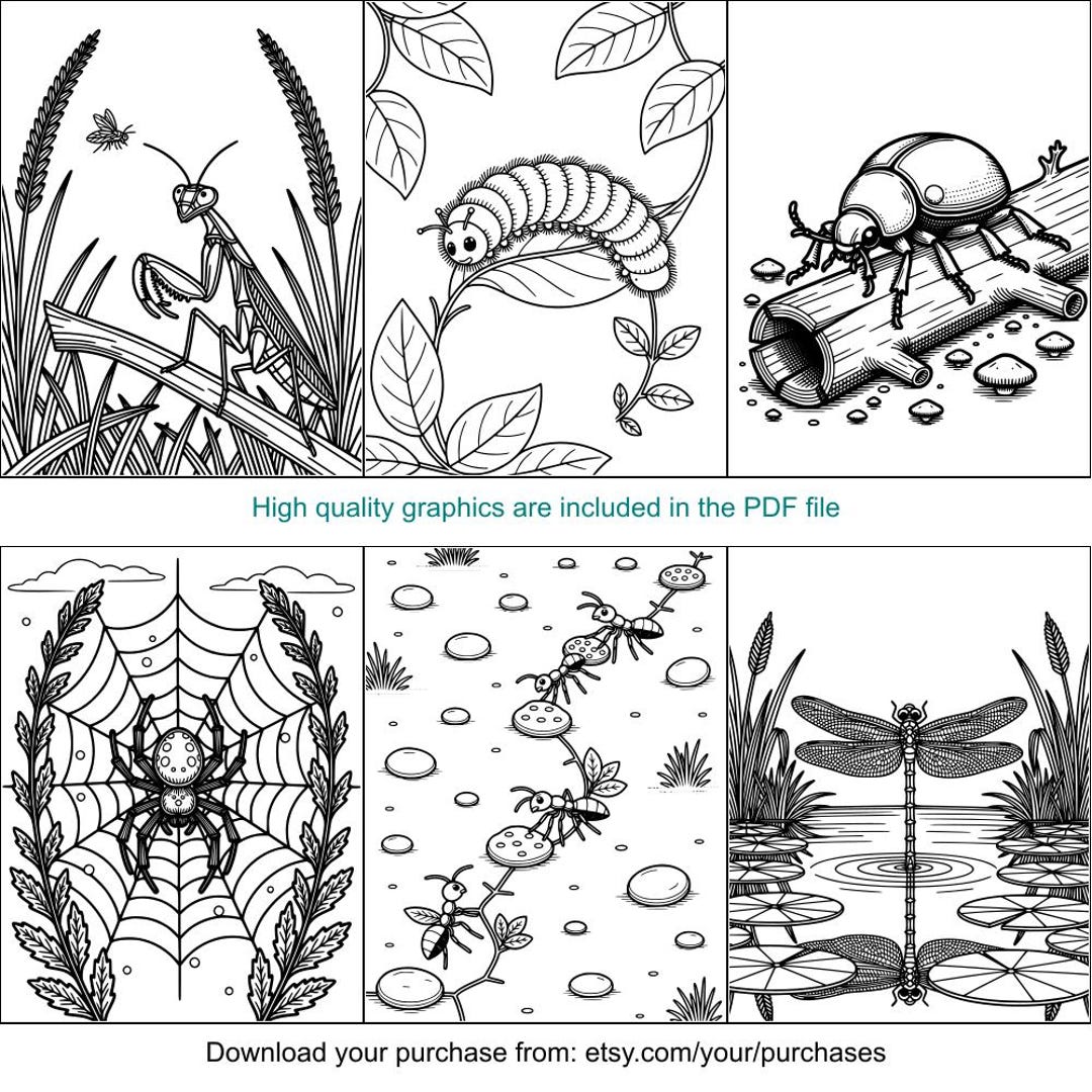 Creepy Crawlies and Cool Critters – Printable Insect & Bug Coloring ...
