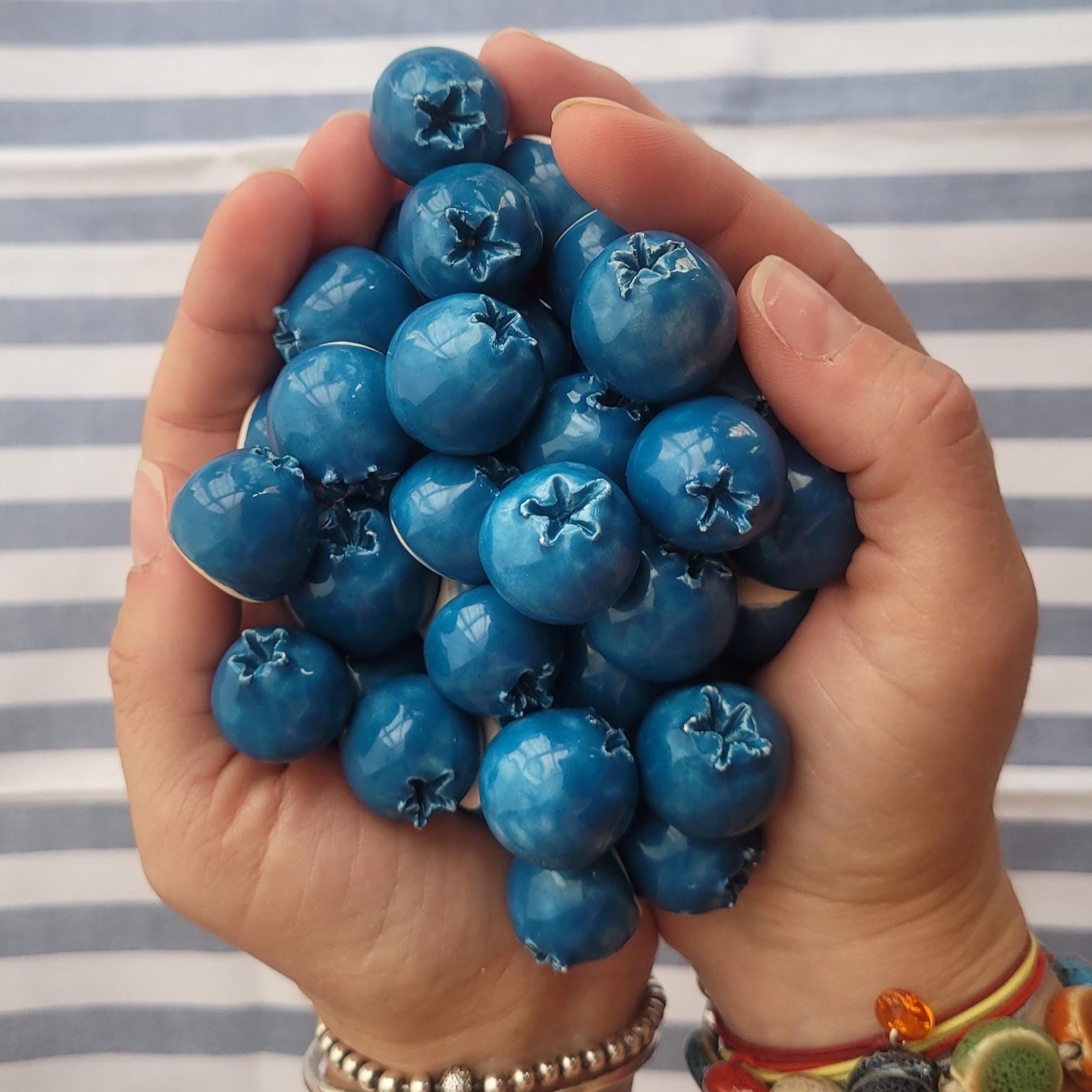 Handmade Blueberry Ceramic Fridge Magnets • Small Ceramic Artwork Decor ...