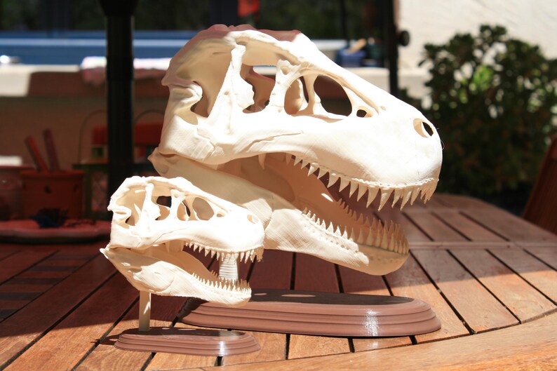 Articulated T-rex Skull 3D Print File - STL/3MF Bambu Lab Ready ...