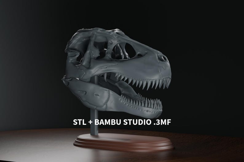 Articulated T-rex Skull 3D Print File - STL/3MF Bambu Lab Ready ...