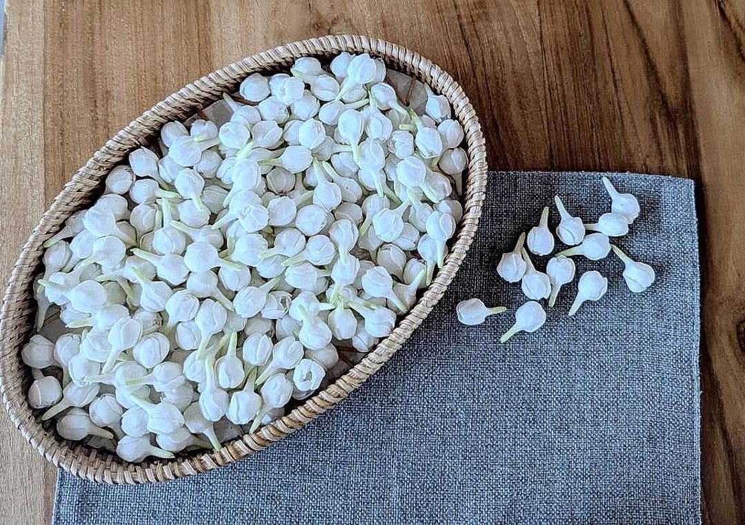 White Jasmine Unfolded Pikake Clay Buds Flower Beads, Hawaiian Lei ...