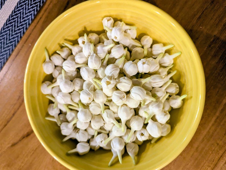 White Jasmine Unfolded Pikake Clay Buds Flower Beads, Hawaiian Lei ...
