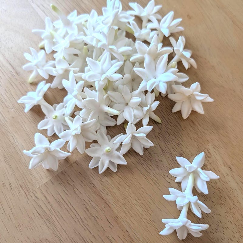 Pikake Bloom Lei - Etsy