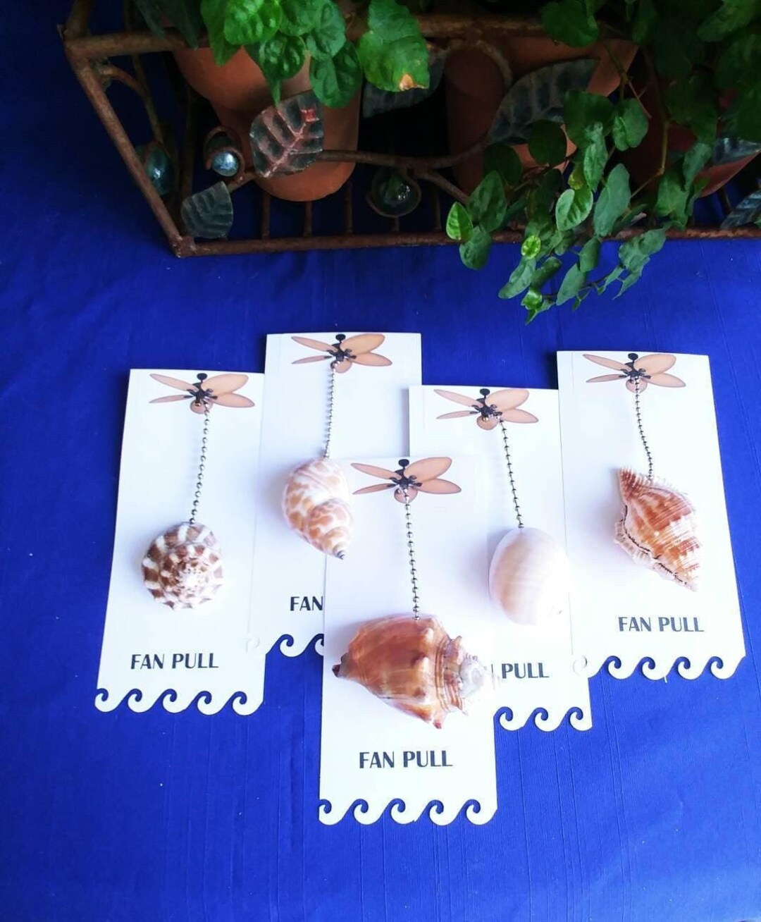 FAN PULL Chain ~seashell~assorted~ceiling Fan Pull Lamp Accessory~beach ...