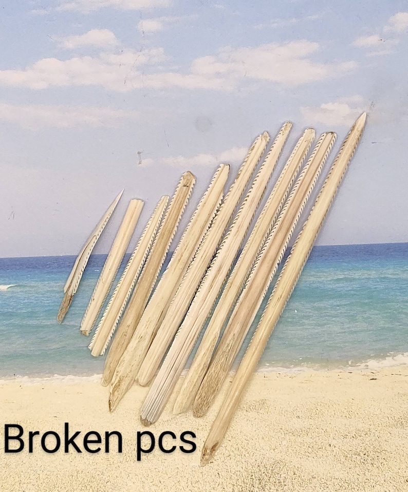 Real STINGRAY BARB Spine Spike Craft Grade Barb - Etsy