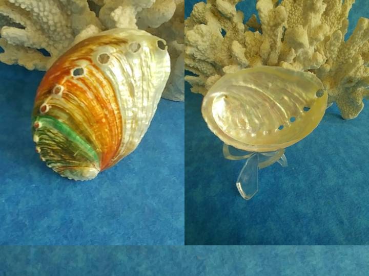 Threaded ABALONE SHELL SMUDGE Bowl also Called Emma's or - Etsy
