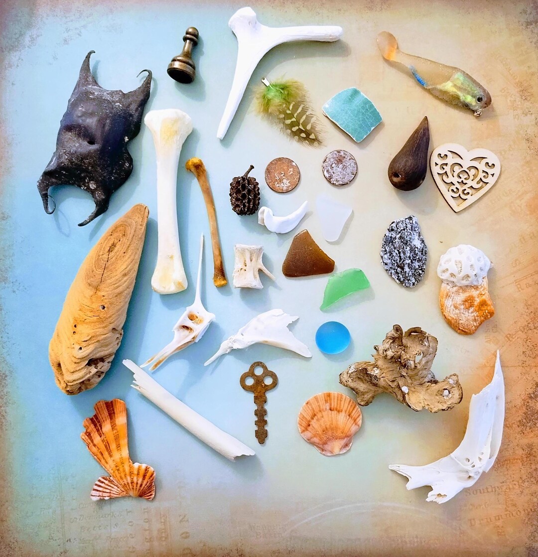 30pcs OSTEOMANCY BONE Throwing/reading Kit ~ Beach Themed Finds ~ Shark ...
