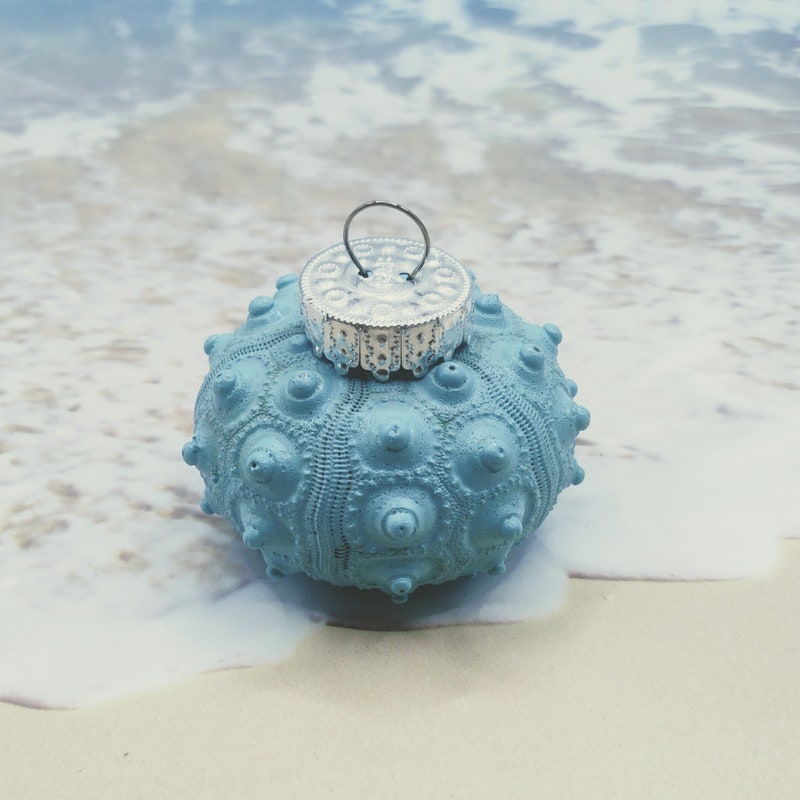 Sea Urchin - Etsy