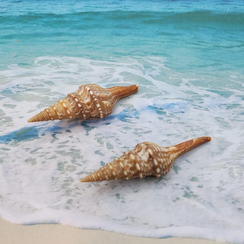 GreenwichTreasures - Etsy