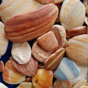 NATURAL SHELL FRAGMENTS ~ 10-100pcs ~ Wampum ~ Smooth Surf Tossed ...