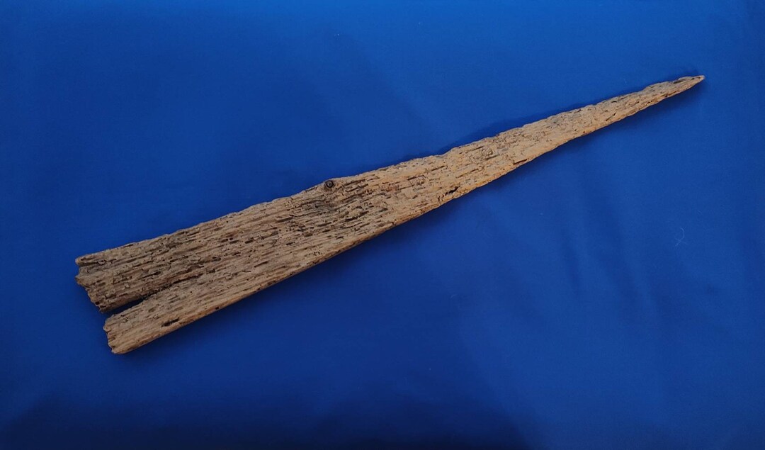 25" SAW SHARK Snout/bill Driftwood ~ Beach Find ~ Oddity - Etsy