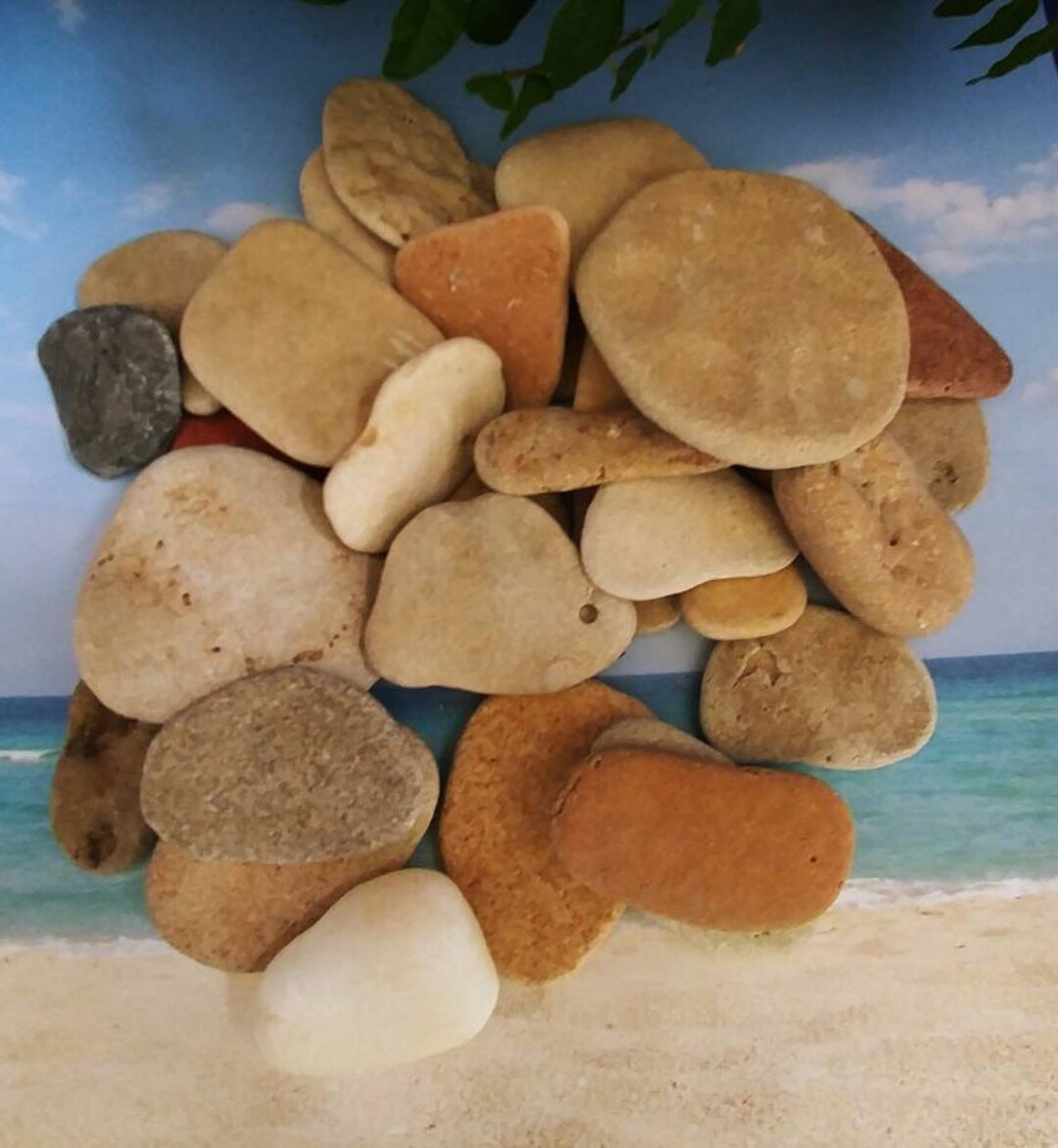 STONE REEF ROCK ~ 10-100pcs Pebble ~ Over 1 1/2" Size ~ Surf Tumbled ...