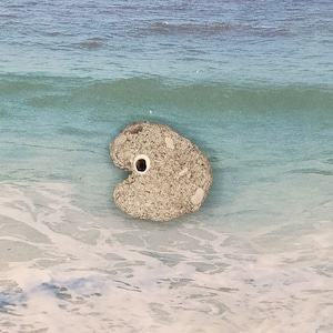 PAC MAN ROCK ~ Pebble ~ Beach Find ~ Natural Formation ~ Specimen - Etsy